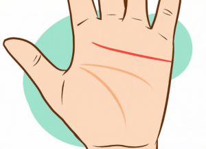 Cómo leer las líneas de la palma de la mano - Vive Tips